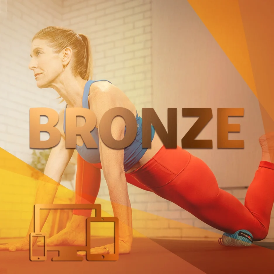 Bronze Subscription