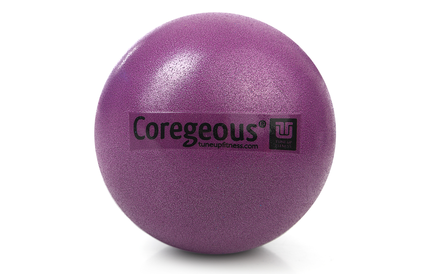 New to Tune Up Fitness? Get Started!