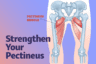 Strengthen Your Pectineus! | Pectineus Strengthening Exercises