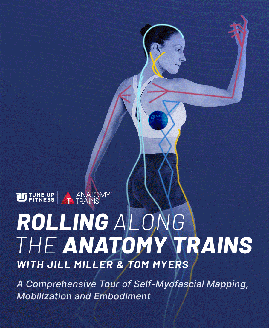 Fitness pro and clinician